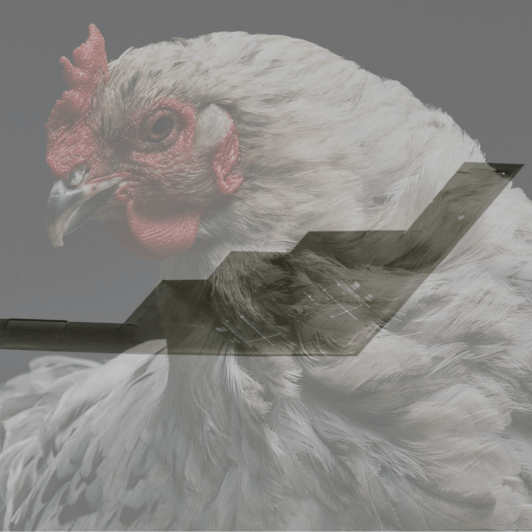 The Halfway Post – Dada News & Satire By Dash MacIntyre